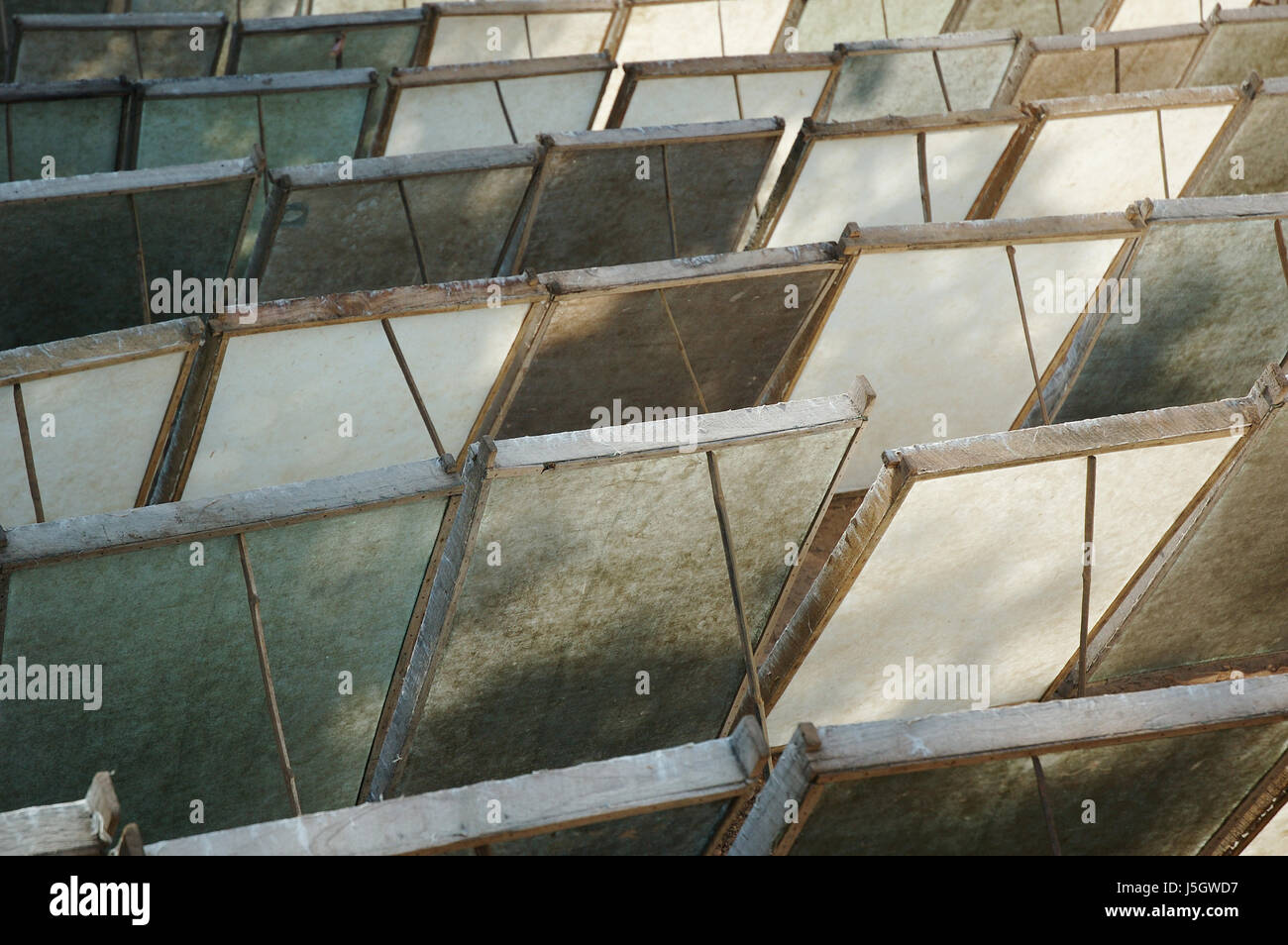 art asia production gift print dry handicraft sheet of paper paper ...