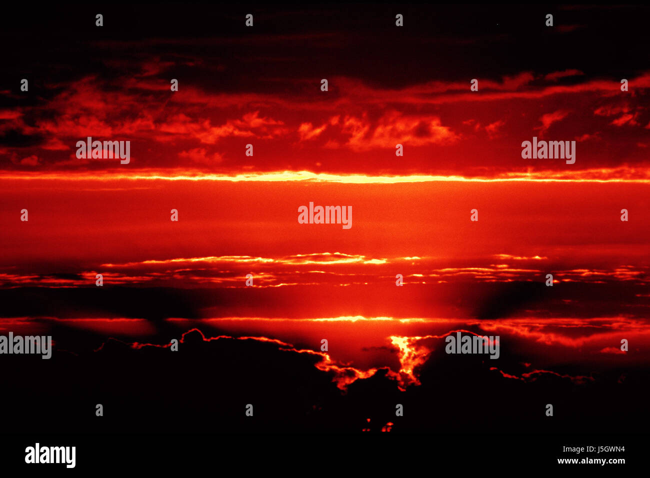 Farewell card hi-res stock photography and images - Alamy