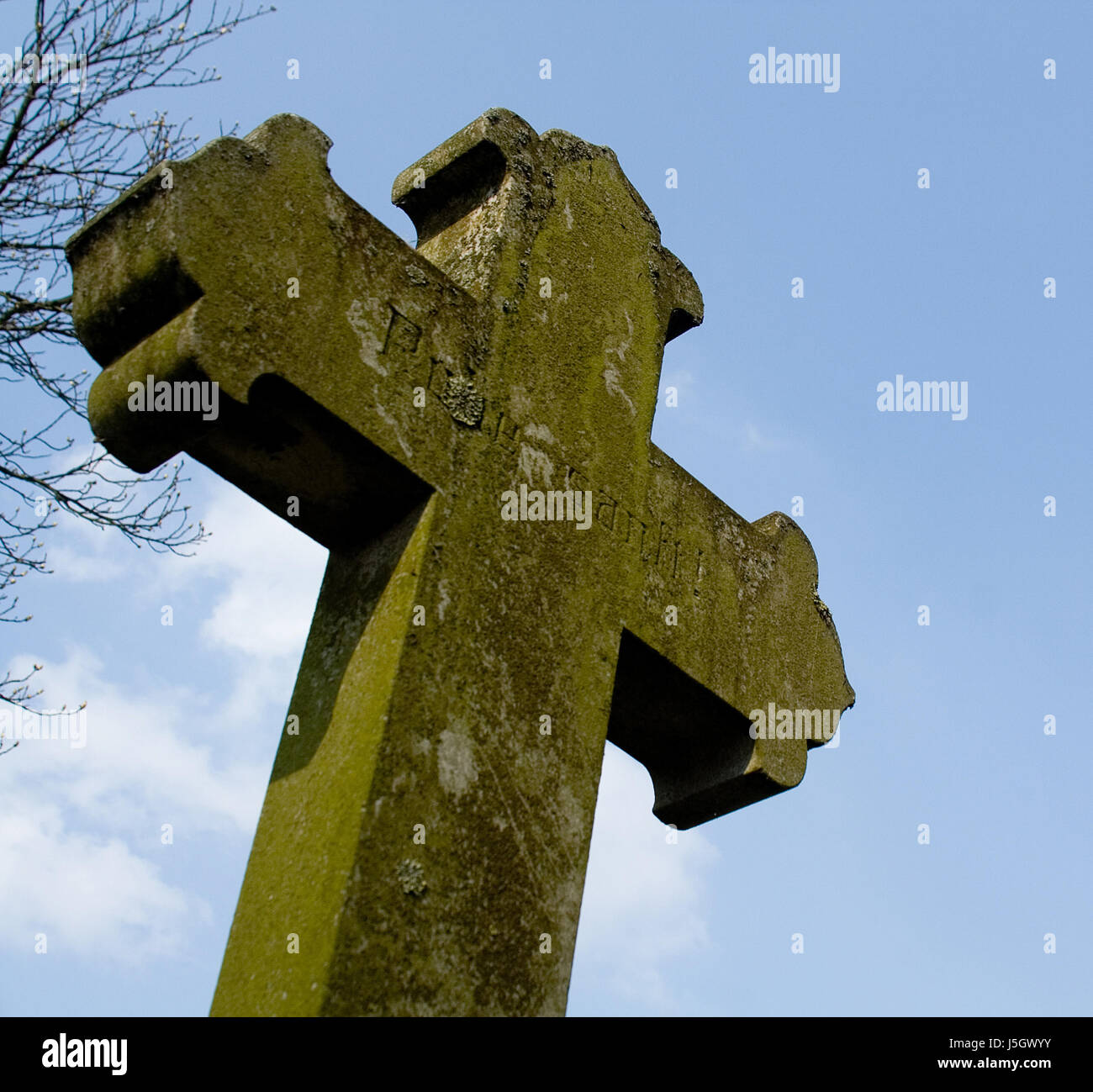 death die tree trees plant cross flora cemetery graves crucifix dead ...