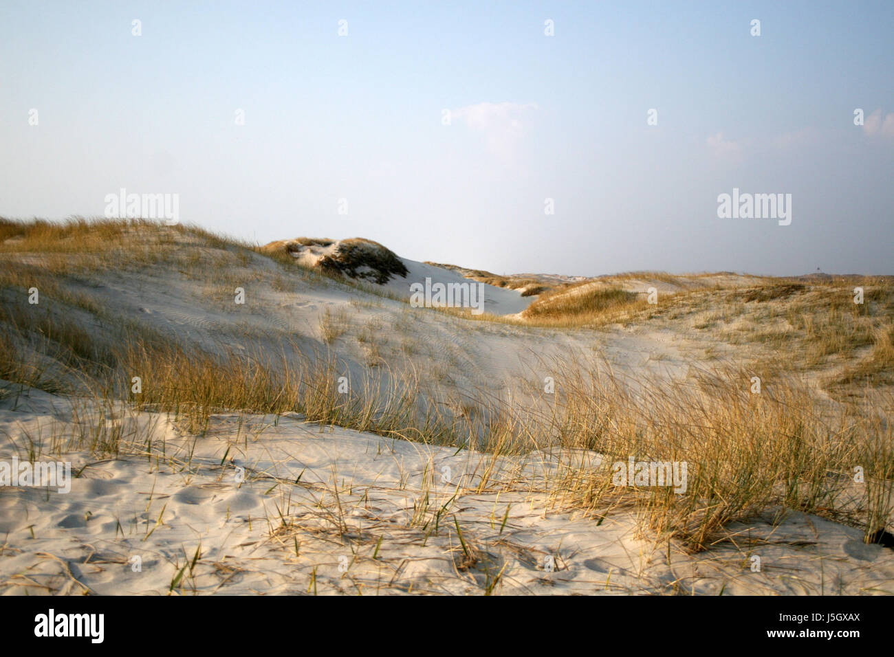 blue hill water north sea salt water sea ocean grasses loneliness dunes ...