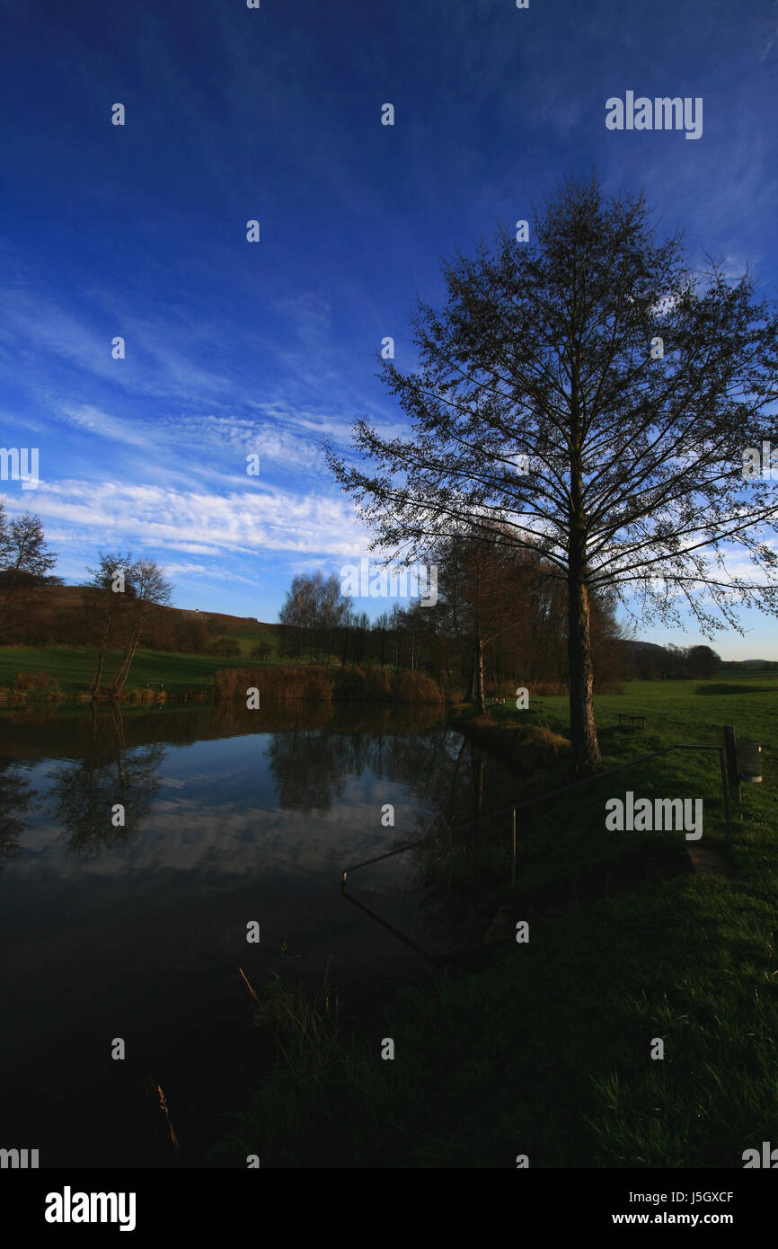 beautiful beauteously nice tree trees waters vineyards romanticism ...