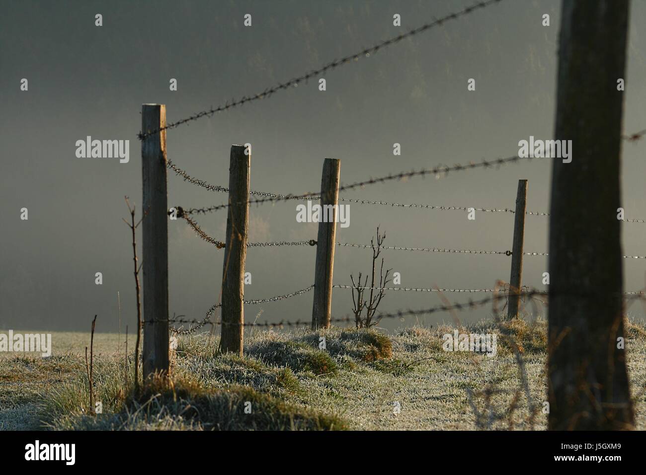 only a fence Stock Photo - Alamy