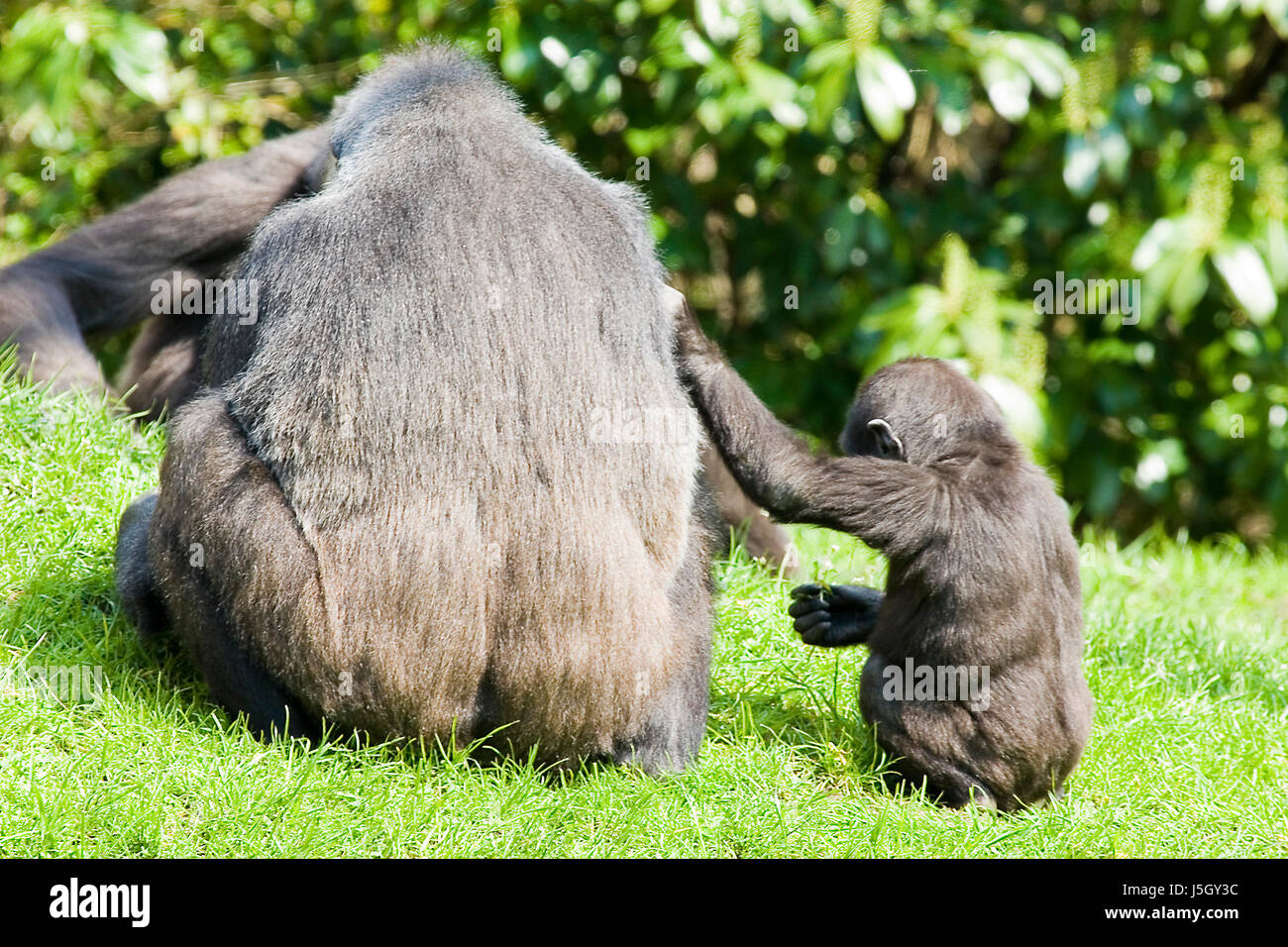 na pal Stock Photo - Alamy