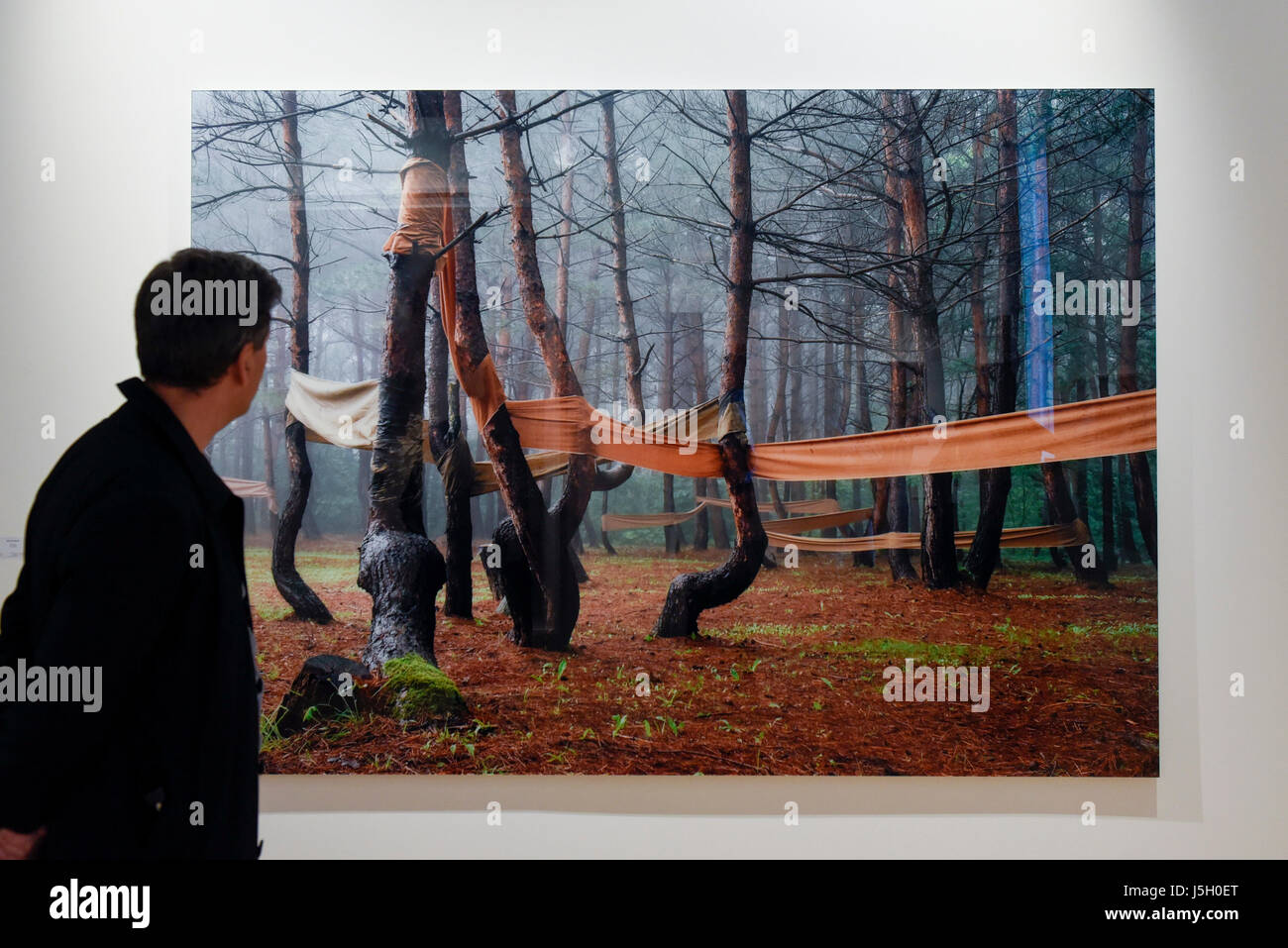 Obis hi-res stock photography and images - Alamy