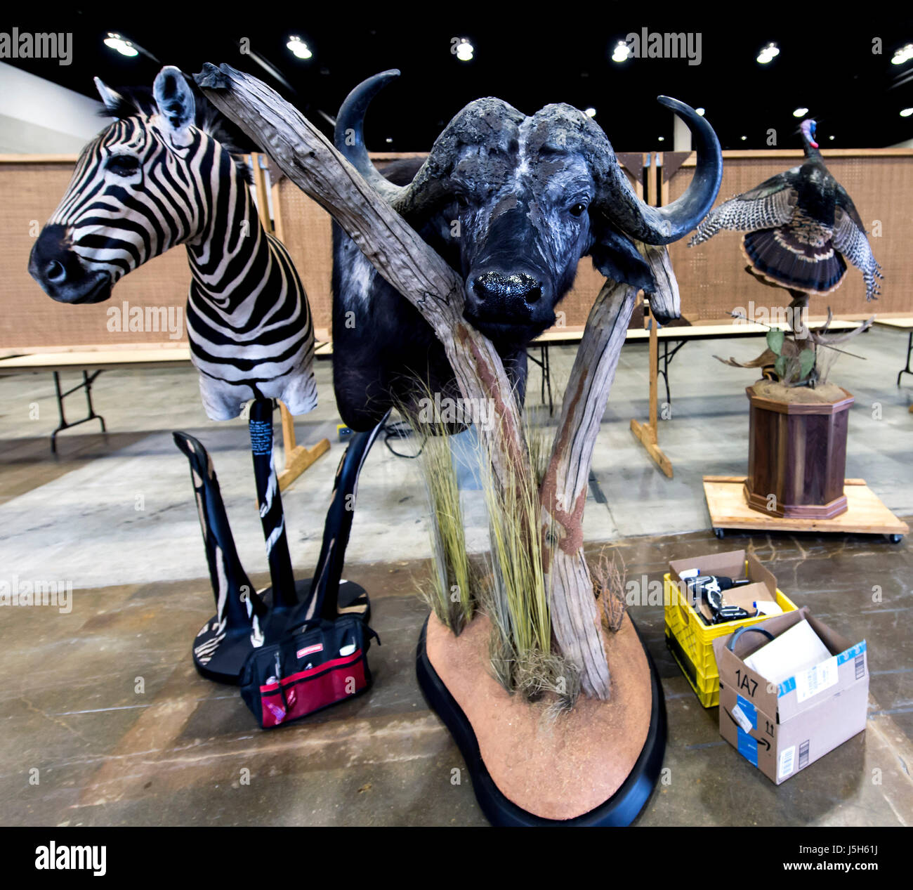 May 16, 2017 - Peoria, Illinois, U.S. - Competition entries in a ...
