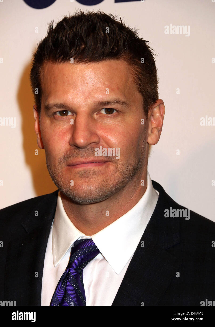 Actor david boreanaz hi-res stock photography and images - Alamy