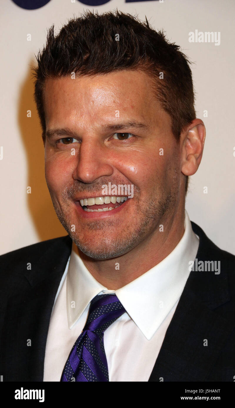 New York, New York, USA. 17th May, 2017. Actor DAVID BOREANAZ attends ...