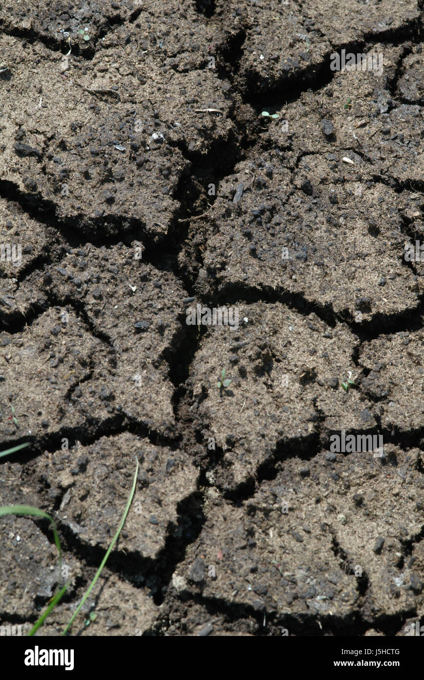 heat drought dry dried up barren seared incrusted fissured cracked ...