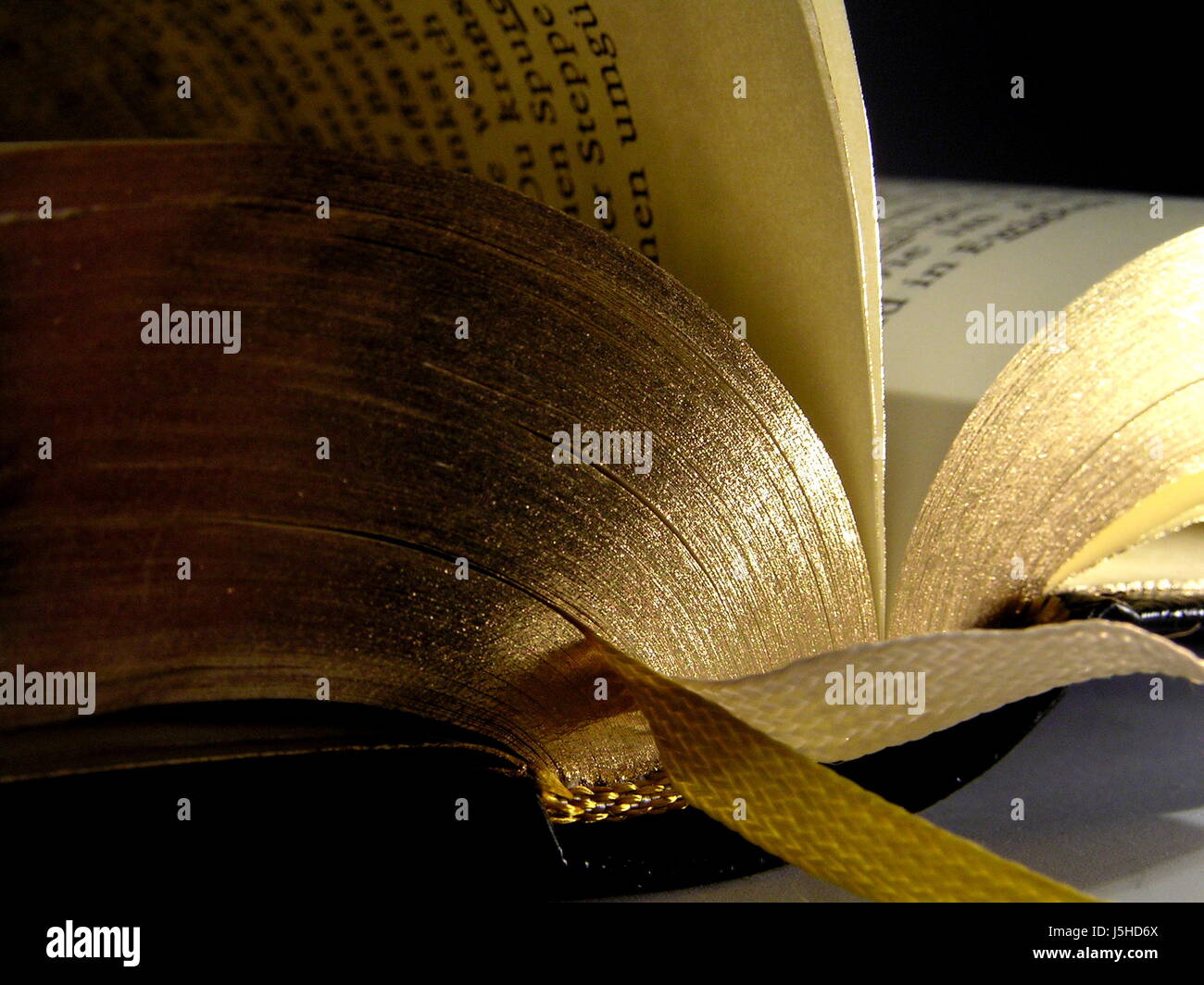 belief letters writing font typography learn cunning bible data ...