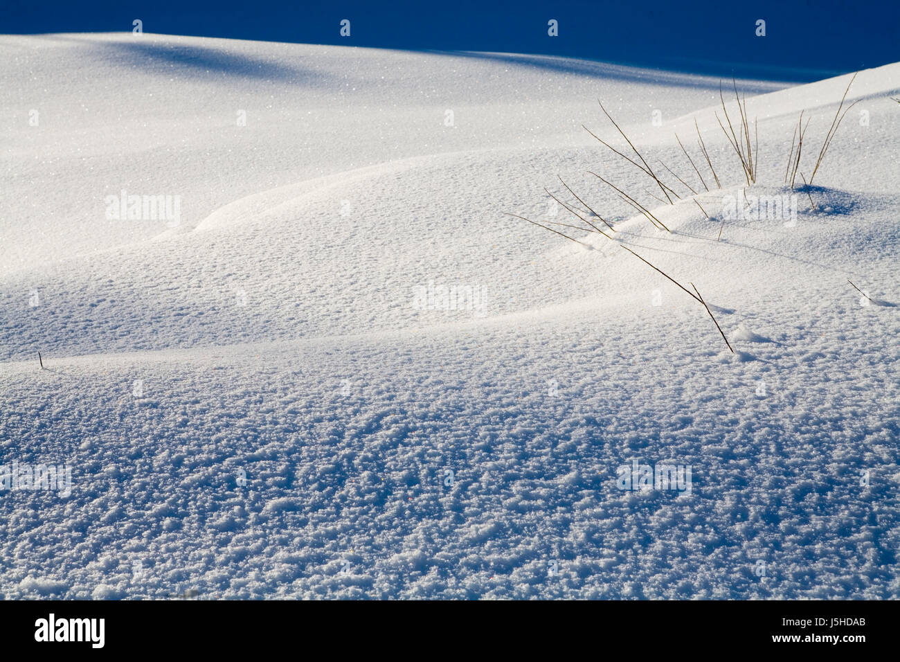 blue winter cold blank european caucasian sweden ice frost winter ...