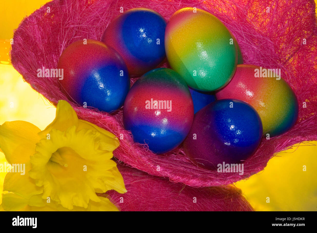 green tinted eggs daffodil Easter eggs orange yellow osterkorb ...