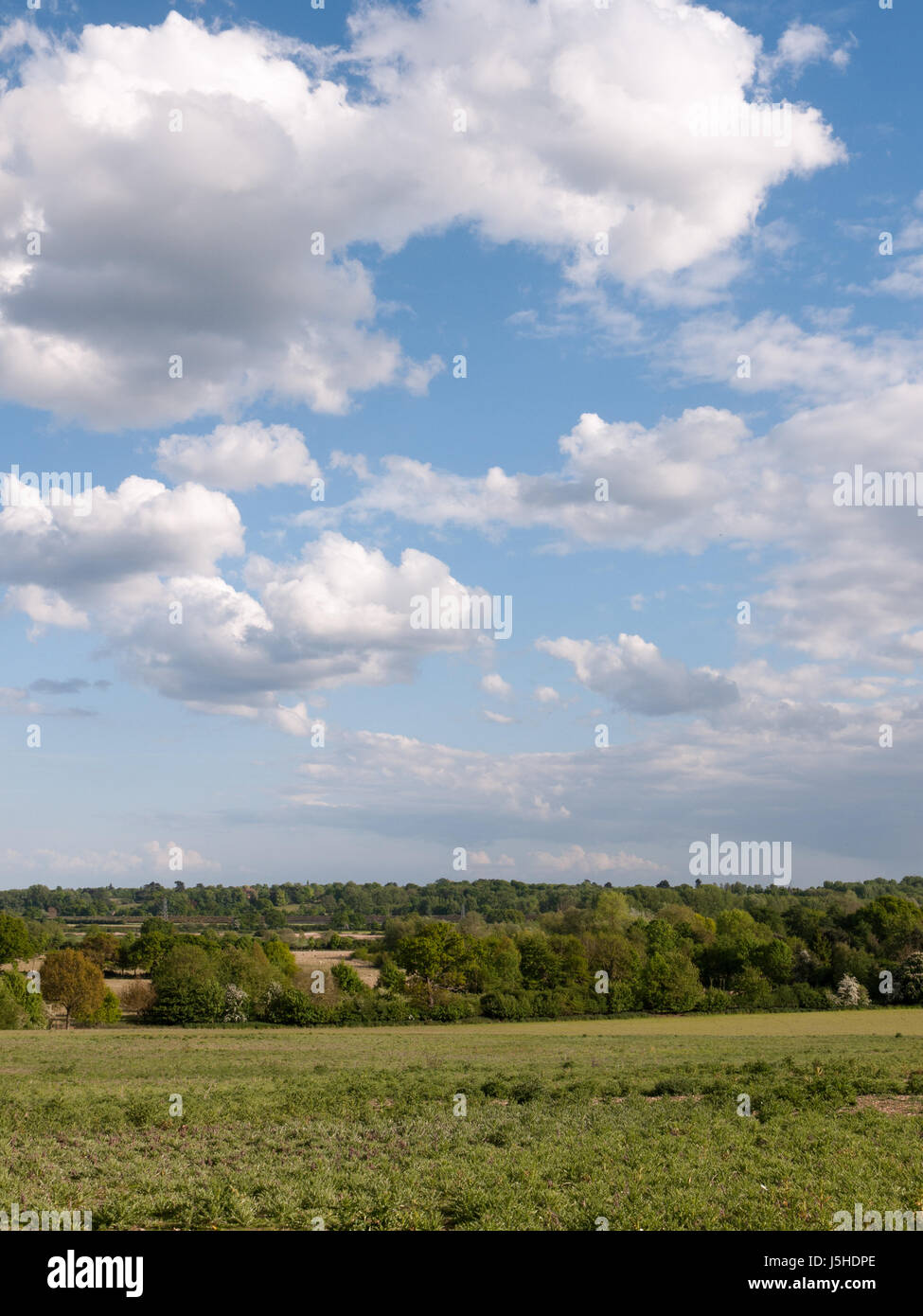 a vertical shot of a countryside scene with grass at the bottom and ...