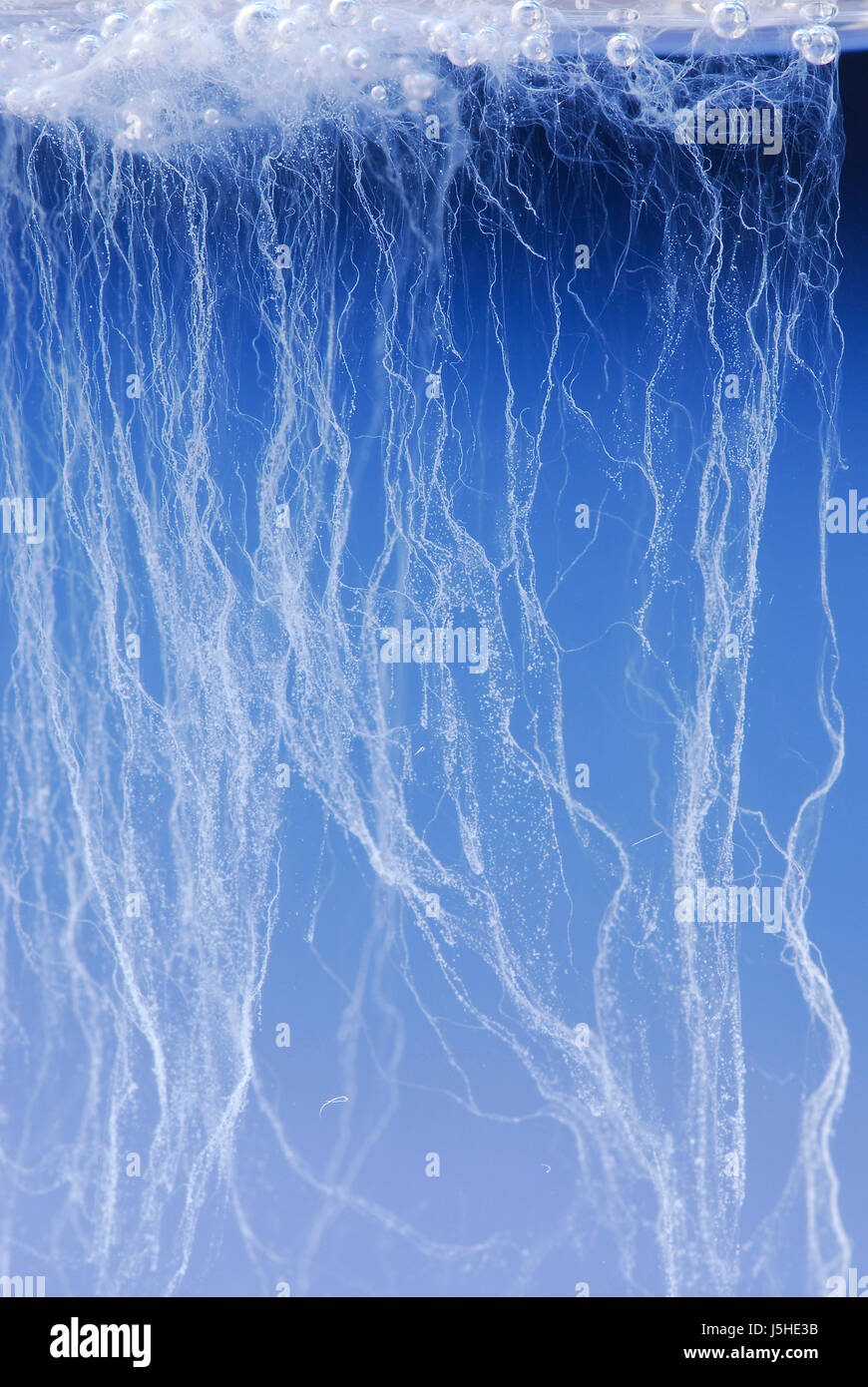 science research thread blood threads biology genes bleb genetics ...