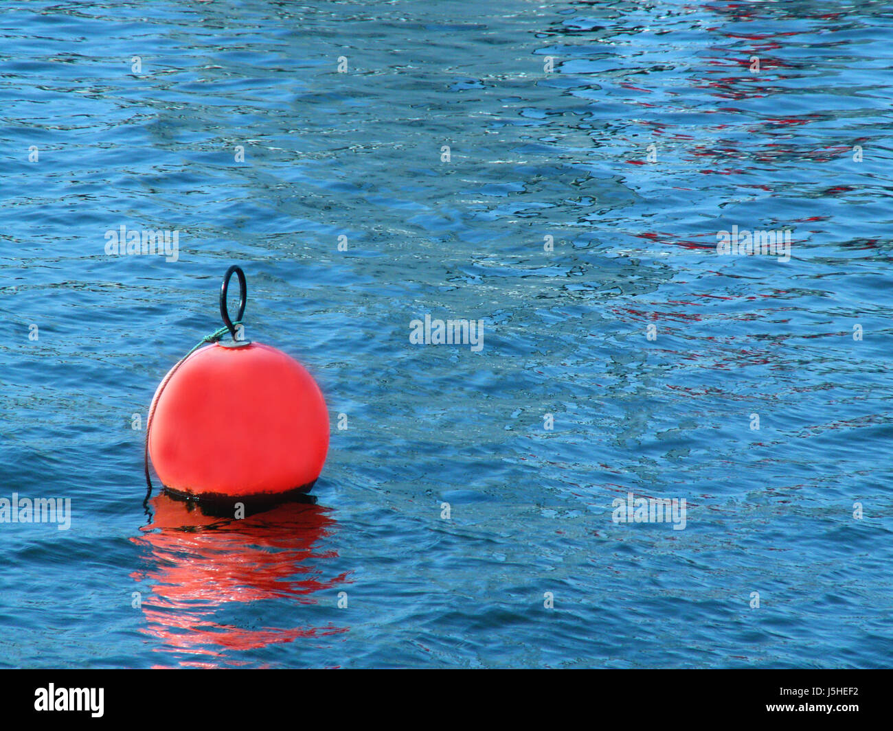 blue ball fresh water pond water marking buoy watermark complete ...