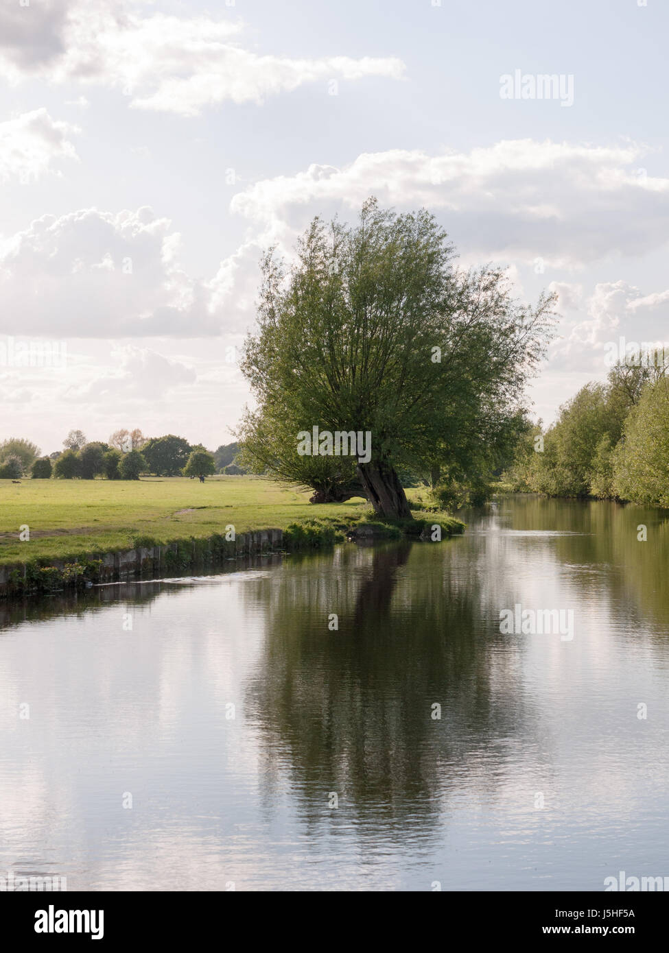 a riverside open scene outside in the country in essex england uk with ...