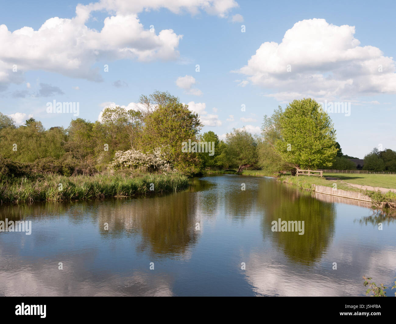 a beautiful country scene in the summer's afternoon outside on a lake ...