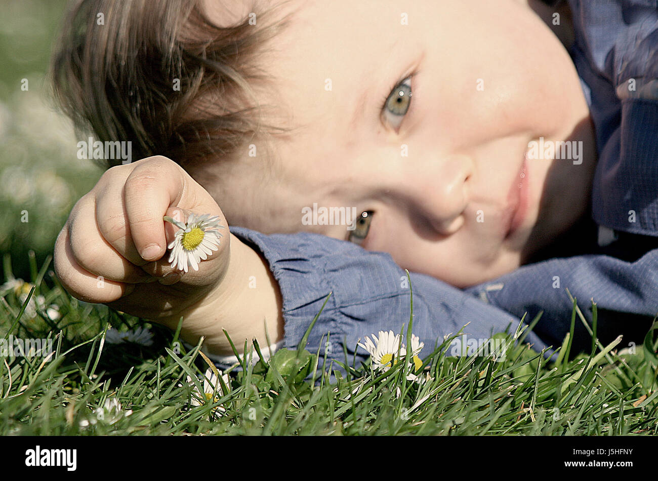 hand flower plant lie lying lies look glancing see view looking peeking ...