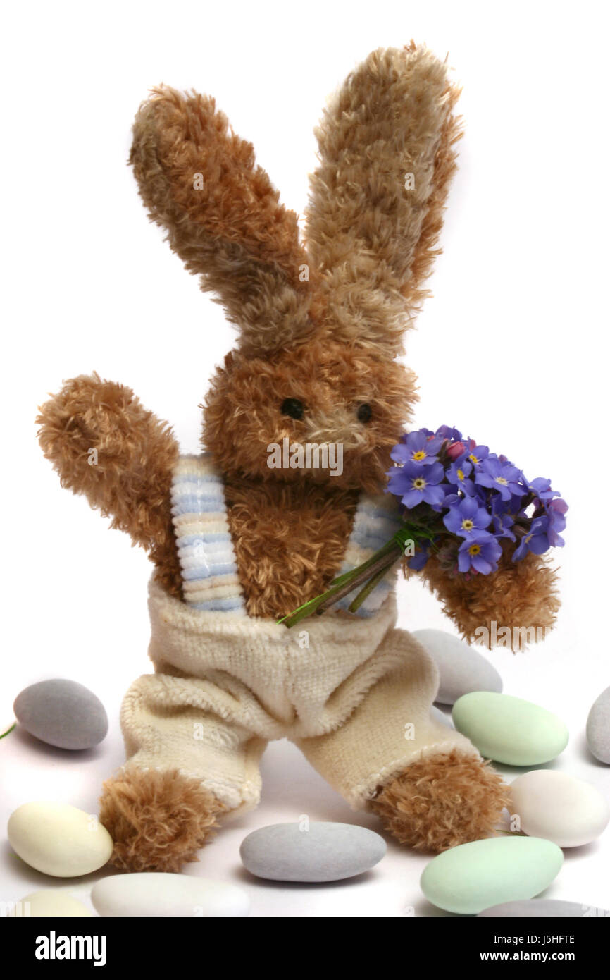 Hasi hi-res stock photography and images - Alamy