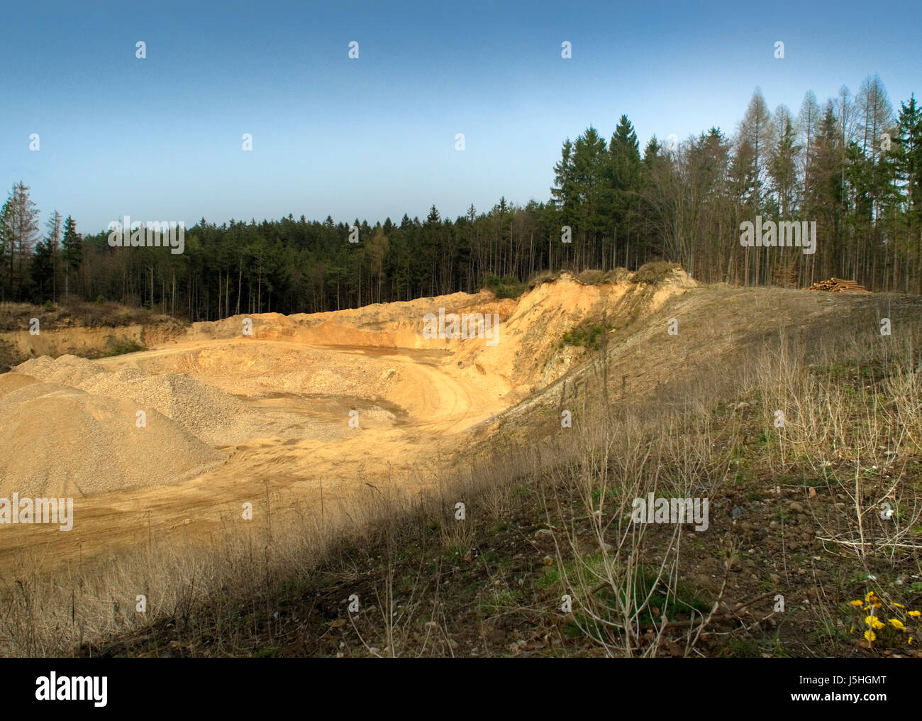 tree trees sense woods hole lower austria pit breaking fracture ...