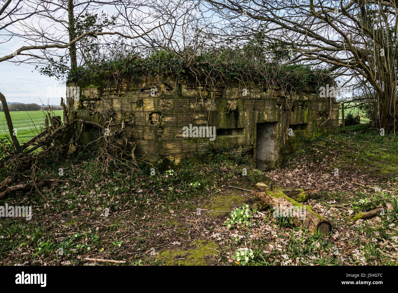 A world war 2 pillbox in Longleat Forest, Wiltshire Stock Photo - Alamy