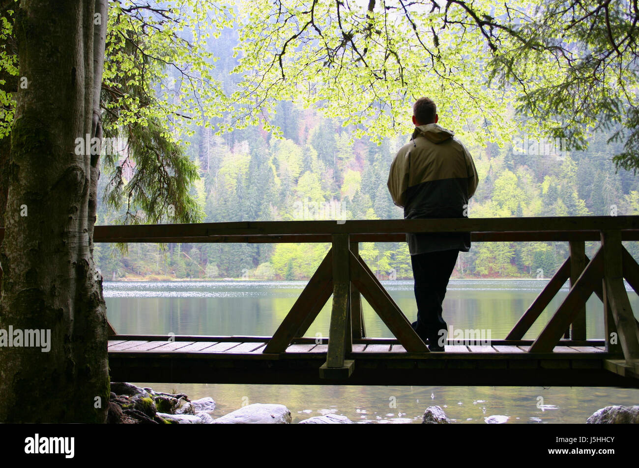 wait waiting tree waters bridge person longing freshness radio silence ...