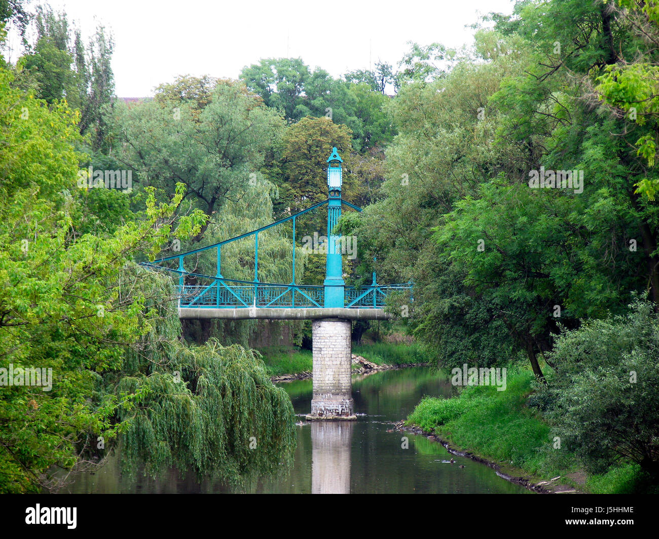tree trees park green stream channel bridges bush pier bridge parapet ...
