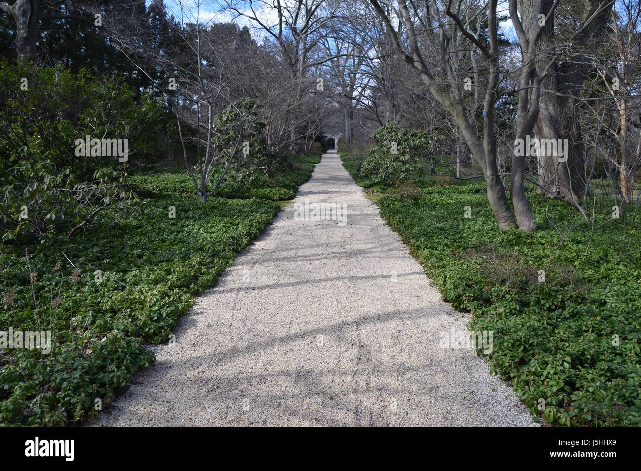 Planting Fields Path Stock Photo - Alamy