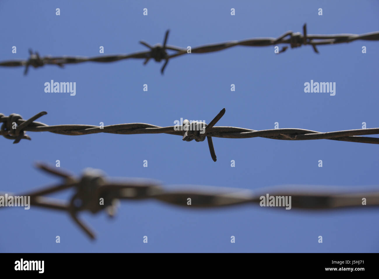 blue fence three border wire barbed wire limitation delimit wiring ...