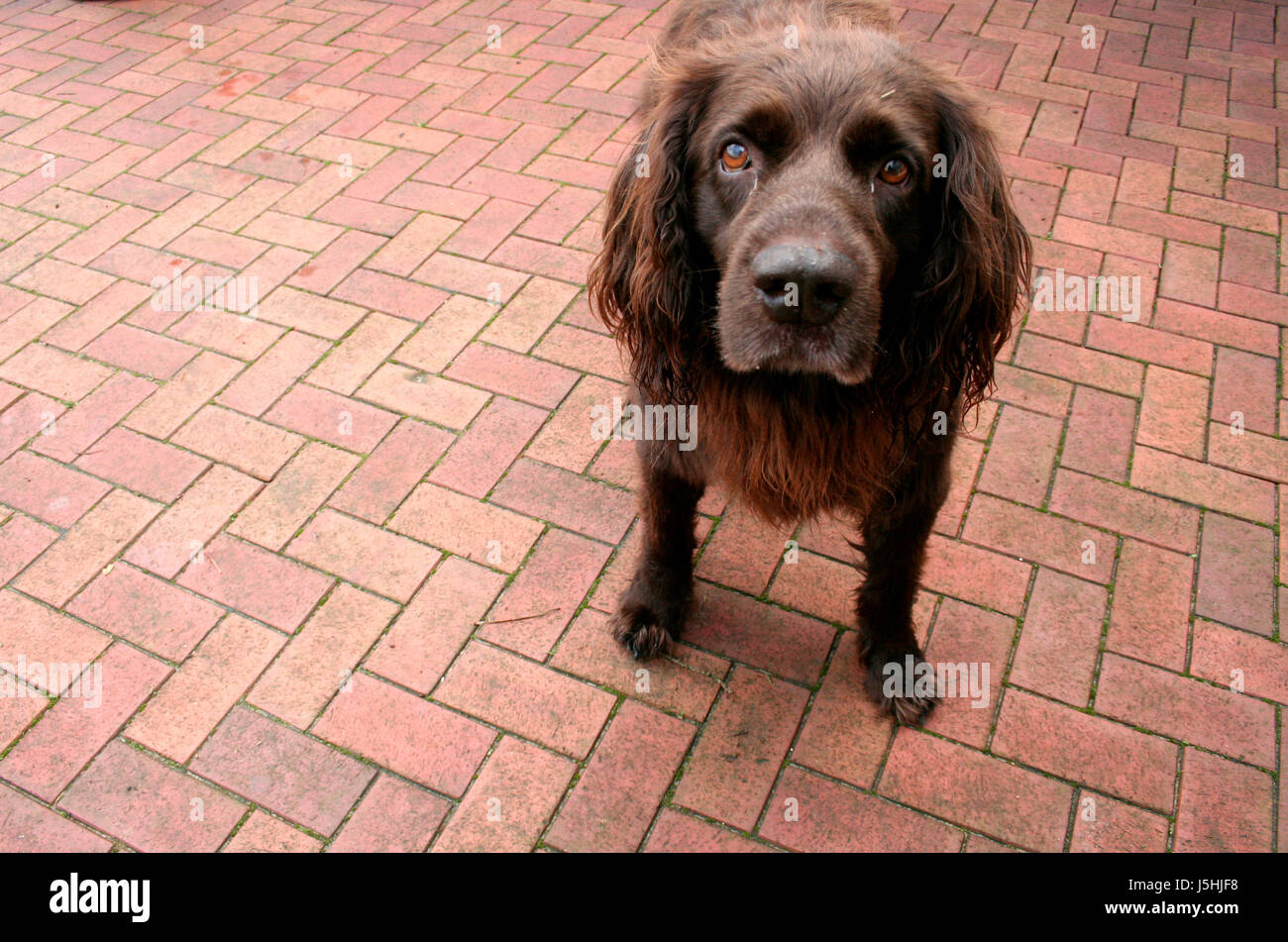 Cuno hi-res stock photography and images - Alamy