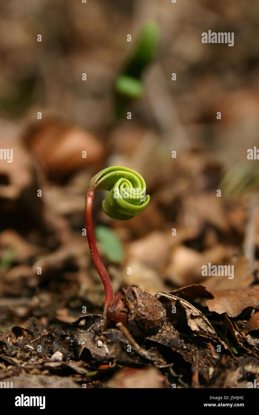 the cycle starts Stock Photo - Alamy