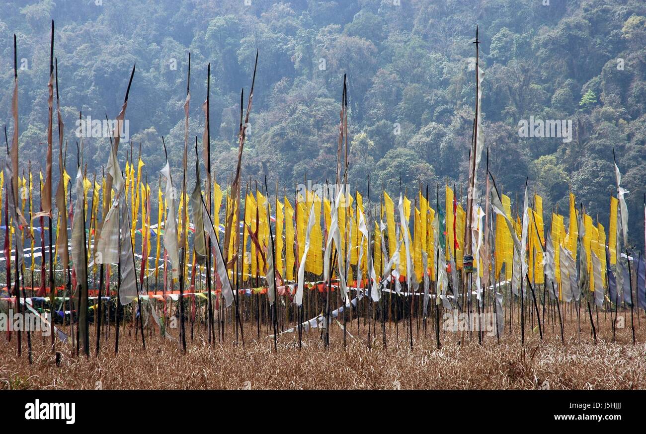 prayer flags in sikkim Stock Photo - Alamy
