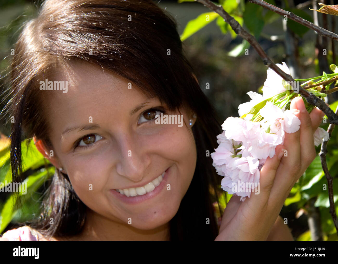 finally full spring Stock Photo - Alamy