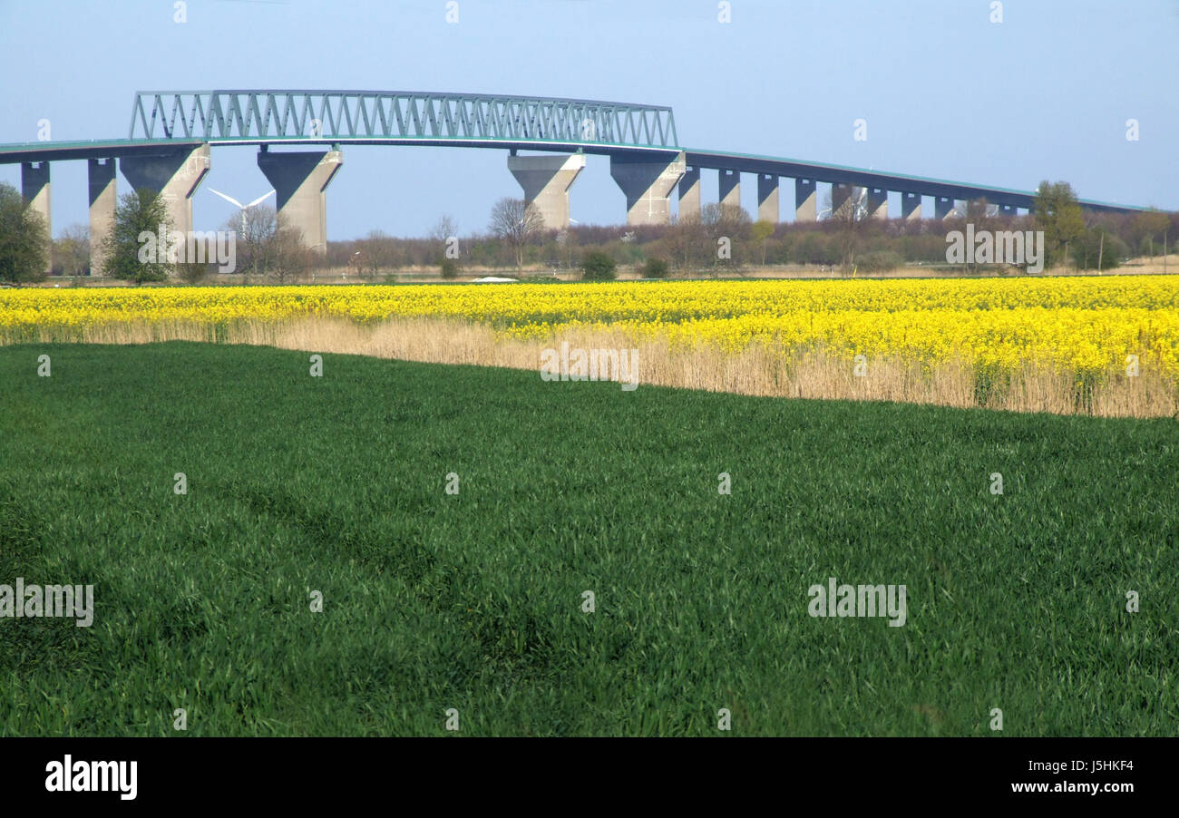 bridge coleseed concrete railing stanchion pier bridge parapet meadow ...