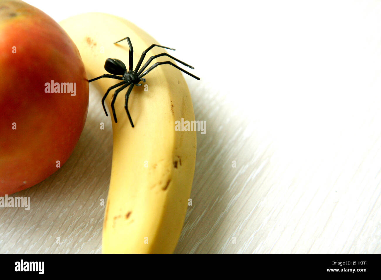 spider eats fruit Stock Photo - Alamy