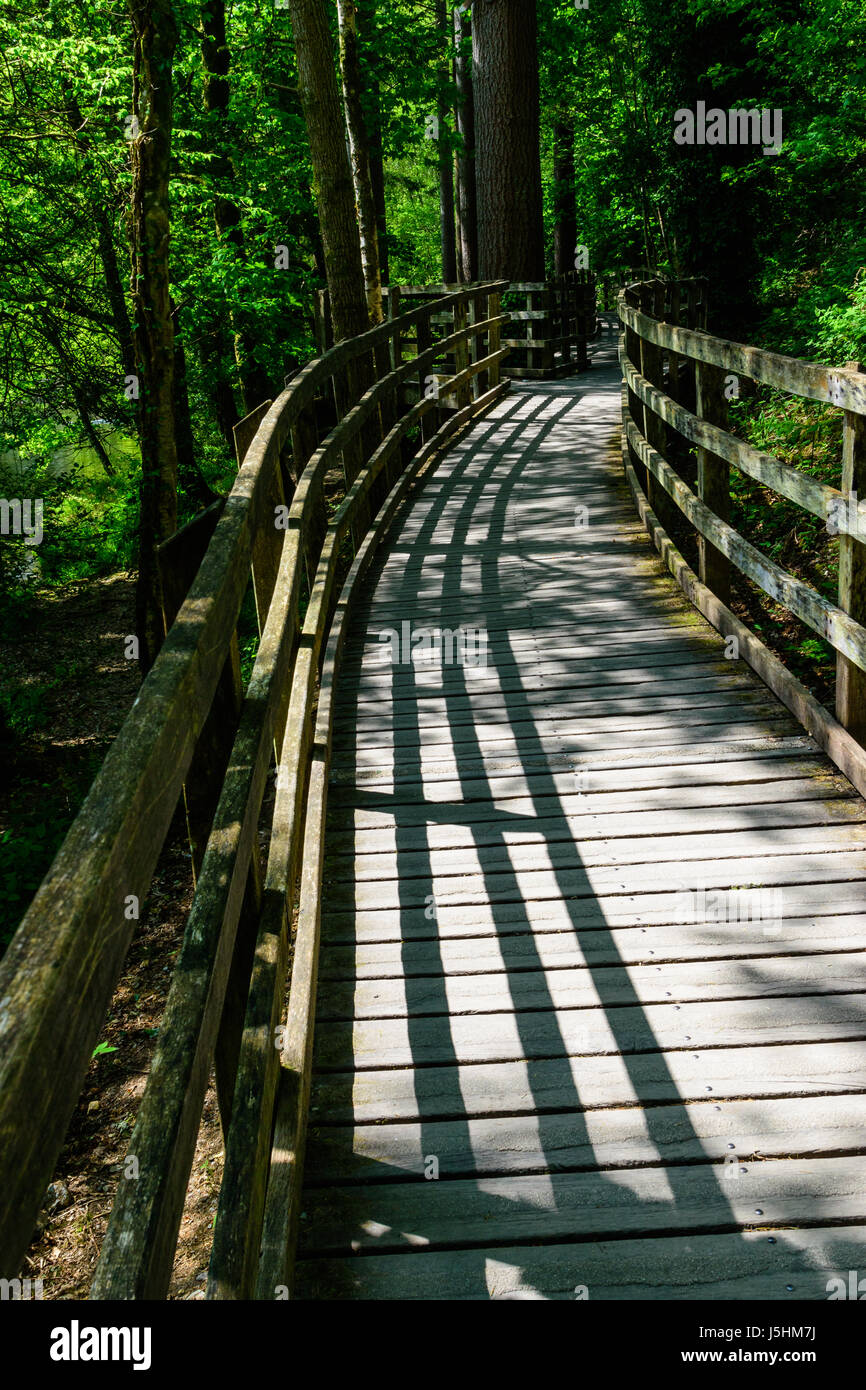 Elevated wooden walkway hi-res stock photography and images - Alamy