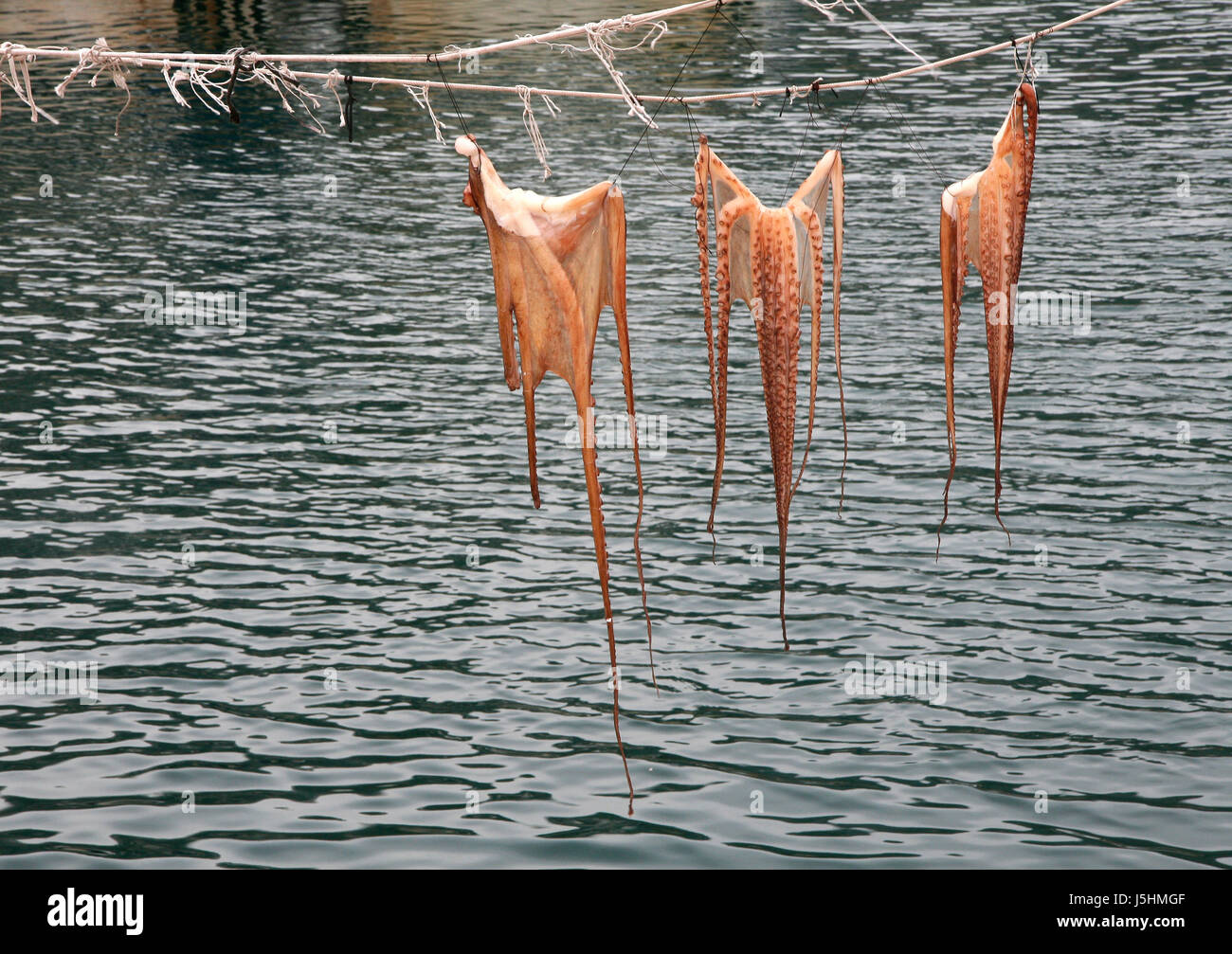 Kraken High Resolution Stock Photography and Images - Alamy