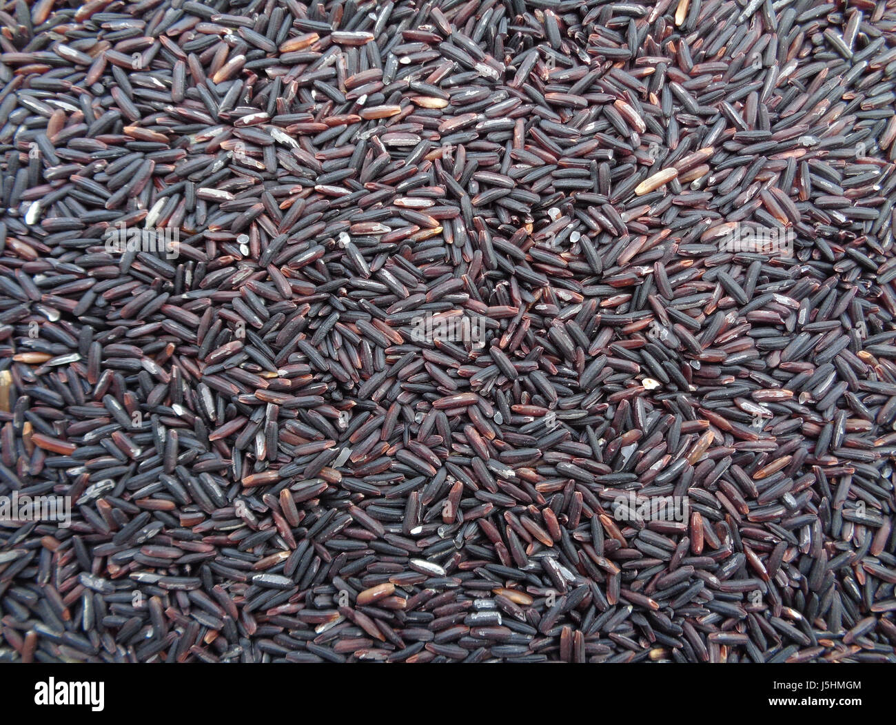 Uncooked Dark Violet Color Rice-berry Rice Raw Rice Background Stock ...