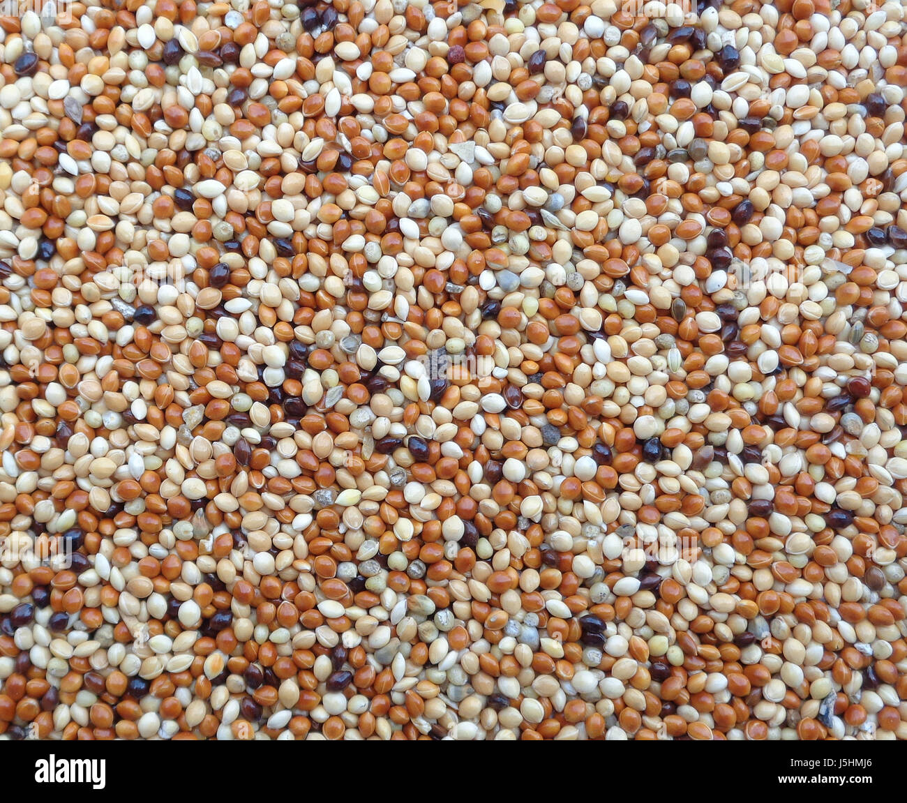 Close-up of Raw Millet for Background Texture Stock Photo - Alamy