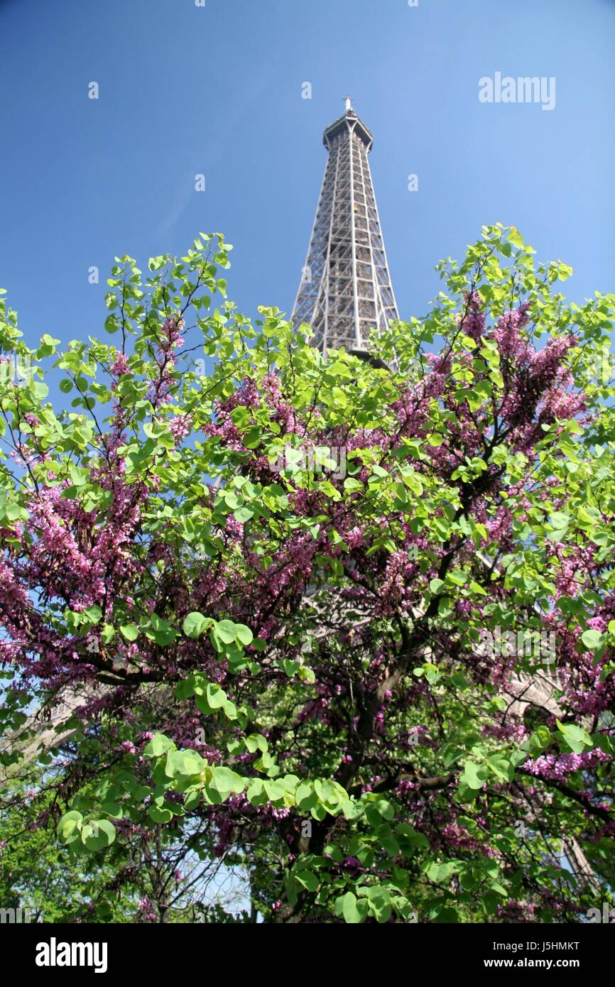 blue tower beautiful beauteously nice big large enormous extreme ...