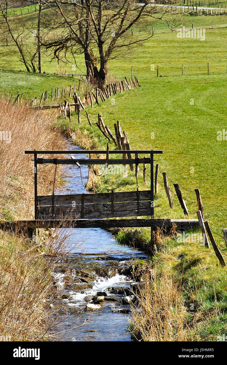 conservation of nature stream culture landscape meadow current of the ...