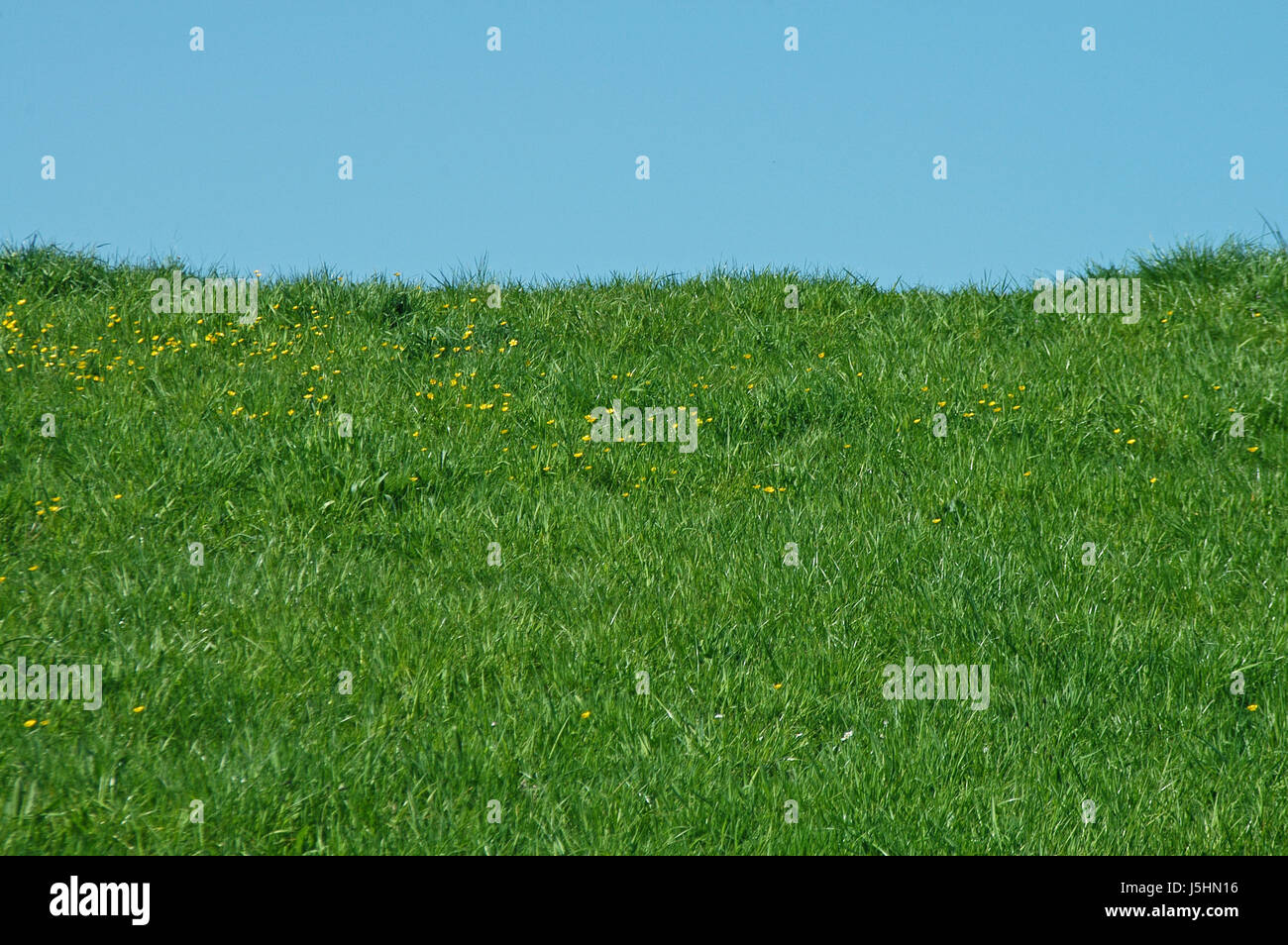 blue green coloured colourful gorgeous multifarious richly coloured ...