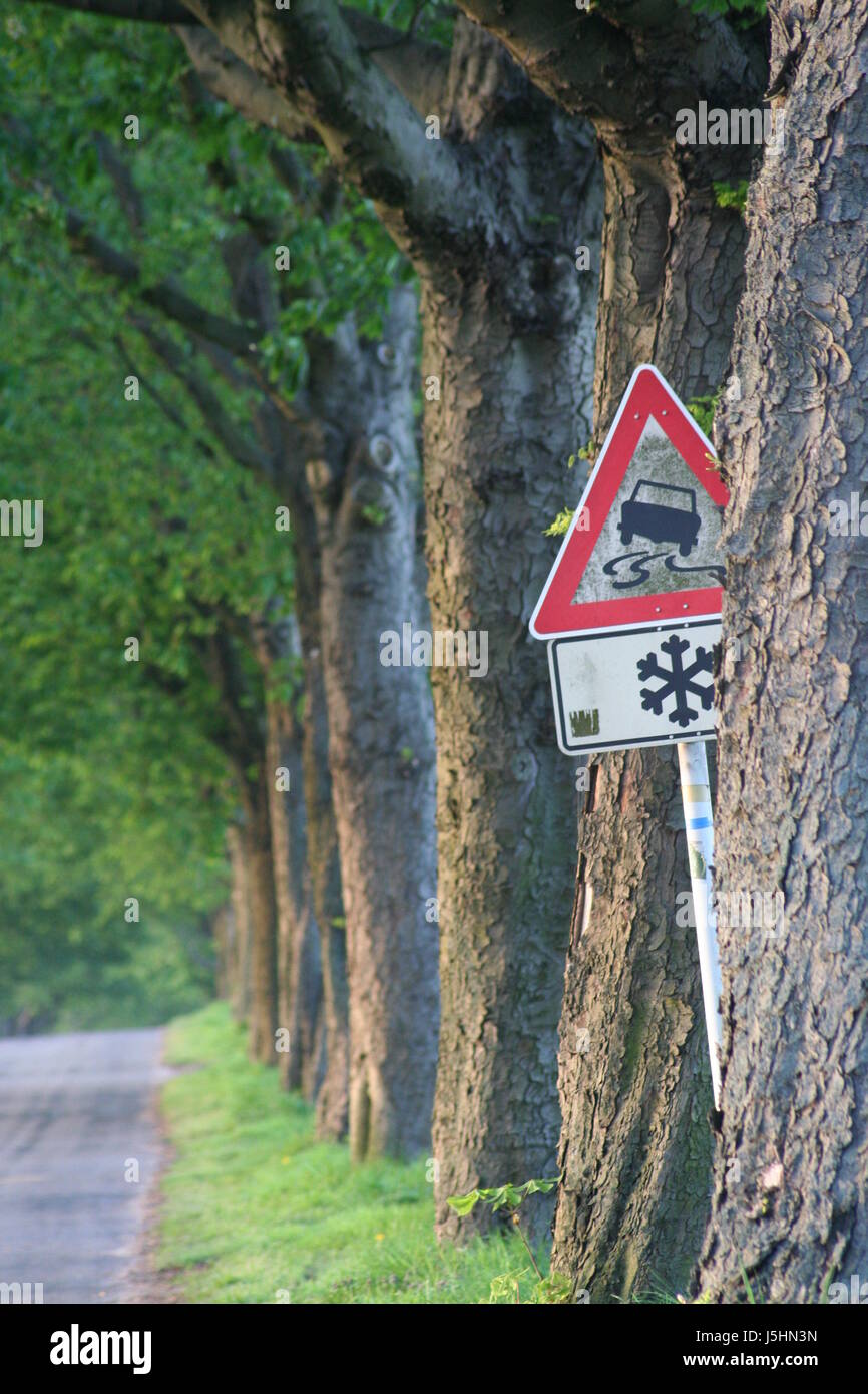 sign signal tree trees traffic transportation road traffic caution ...