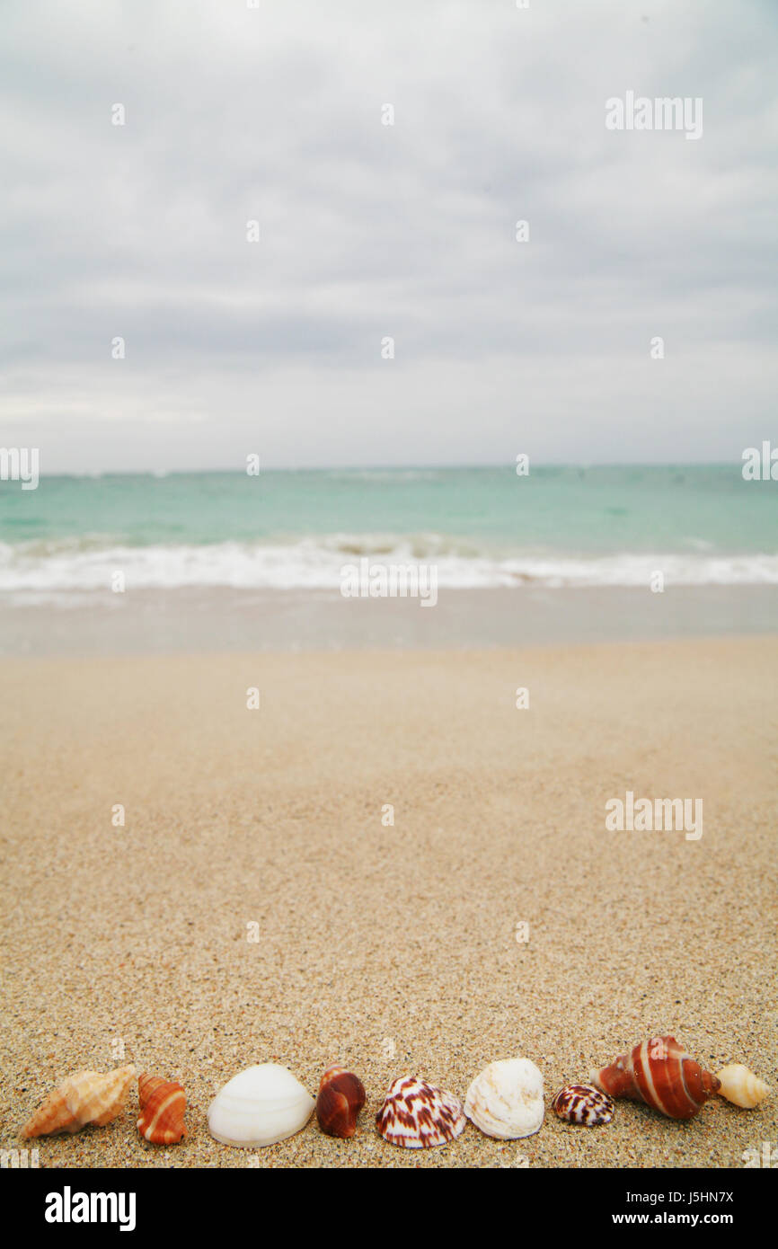 Shell bluff hi-res stock photography and images - Alamy