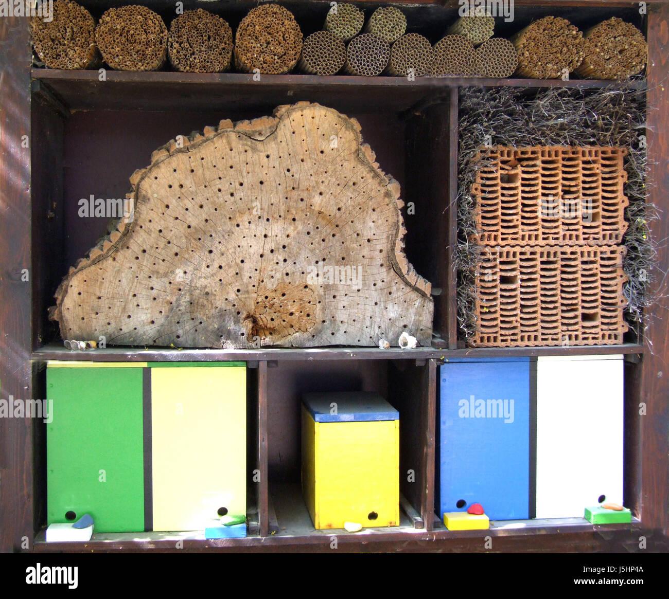 environment enviroment flies insects beetle bees habitat environmental ...