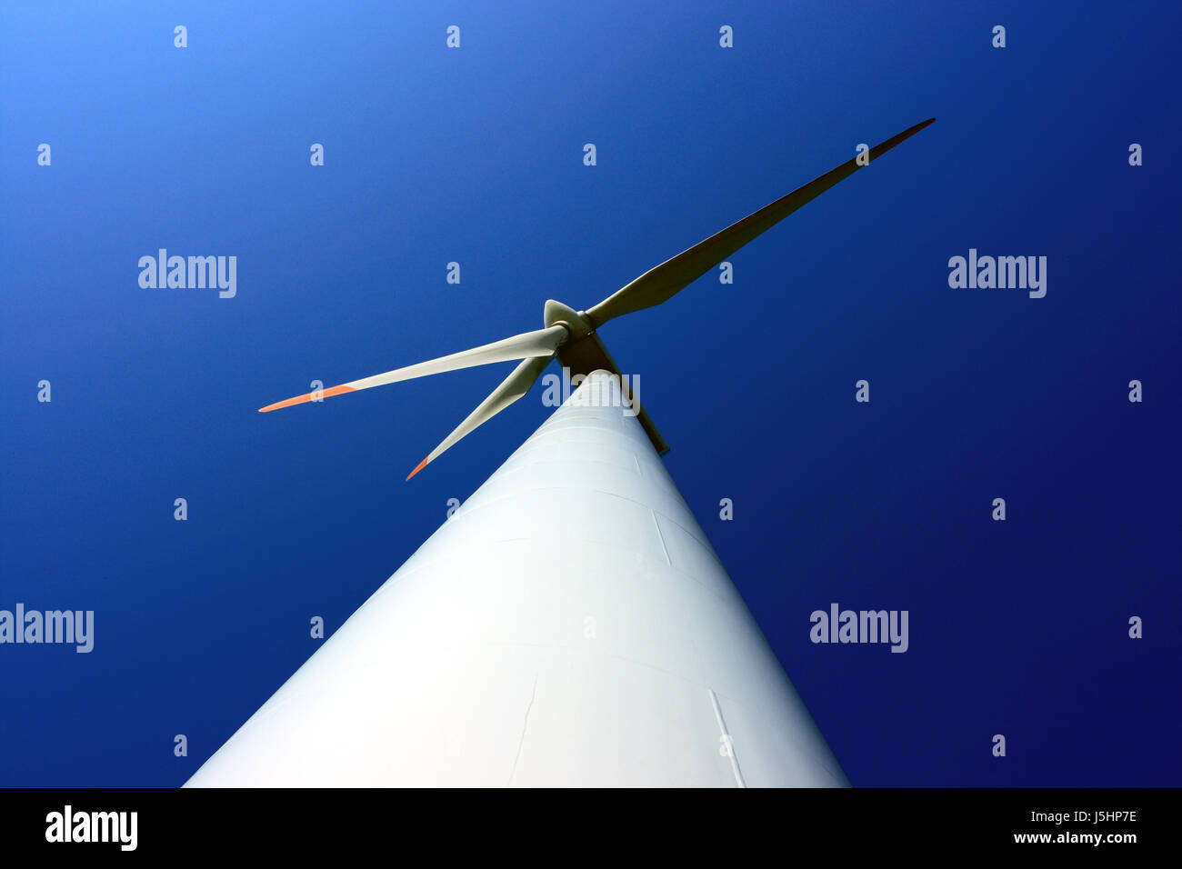 wind from left Stock Photo - Alamy