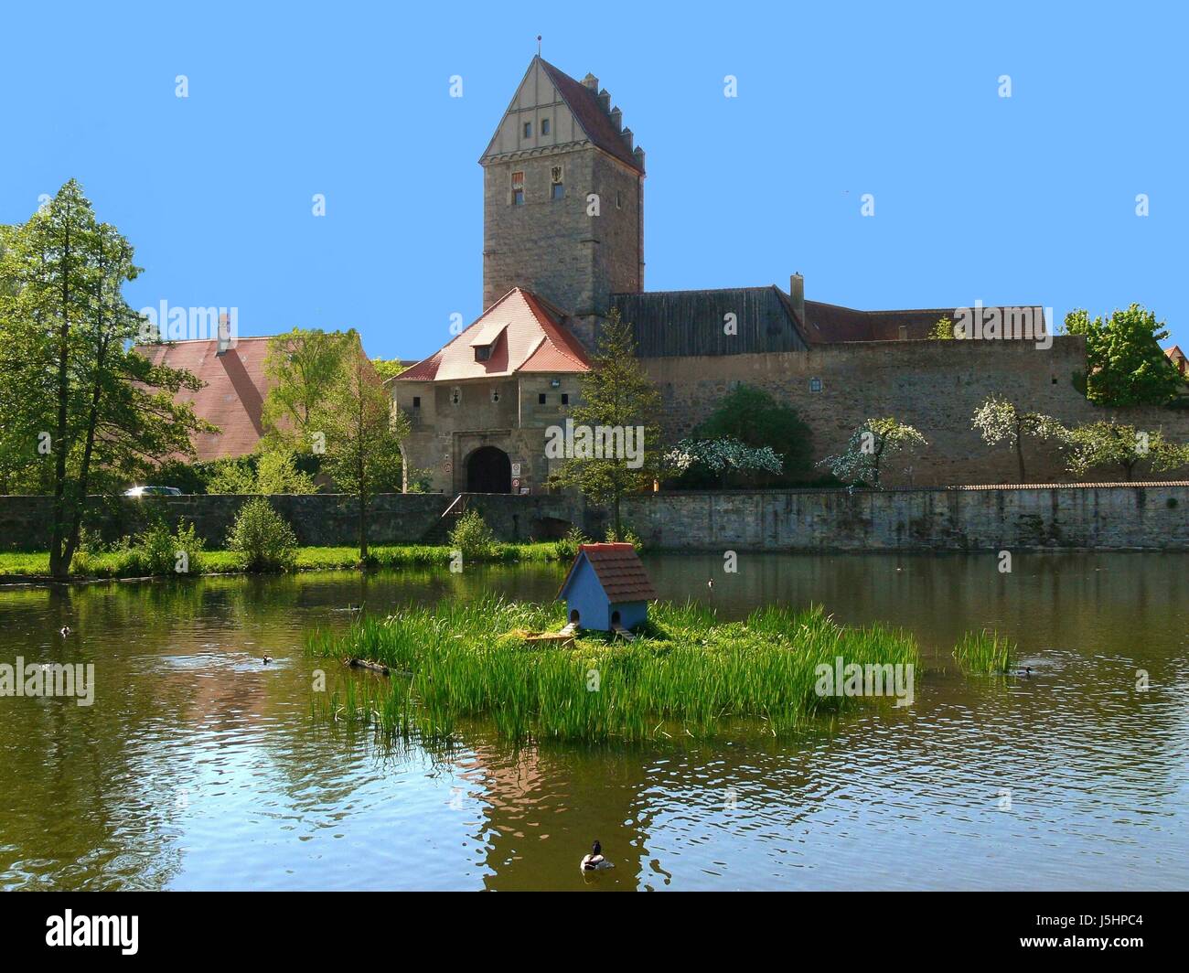 tower historical bloom blossom flourish flourishing tourism old town ...