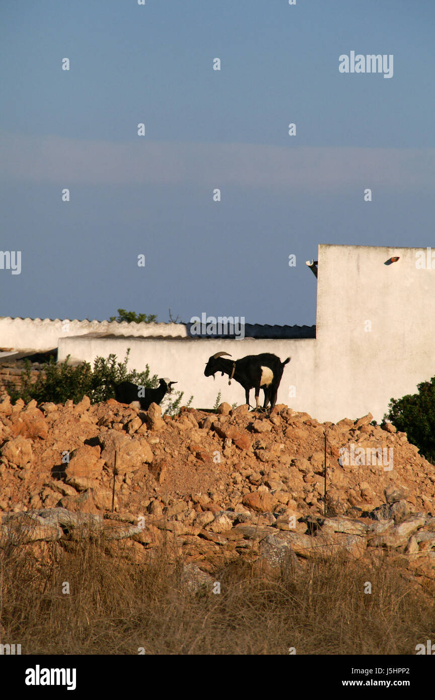 Sultry hi-res stock photography and images - Alamy