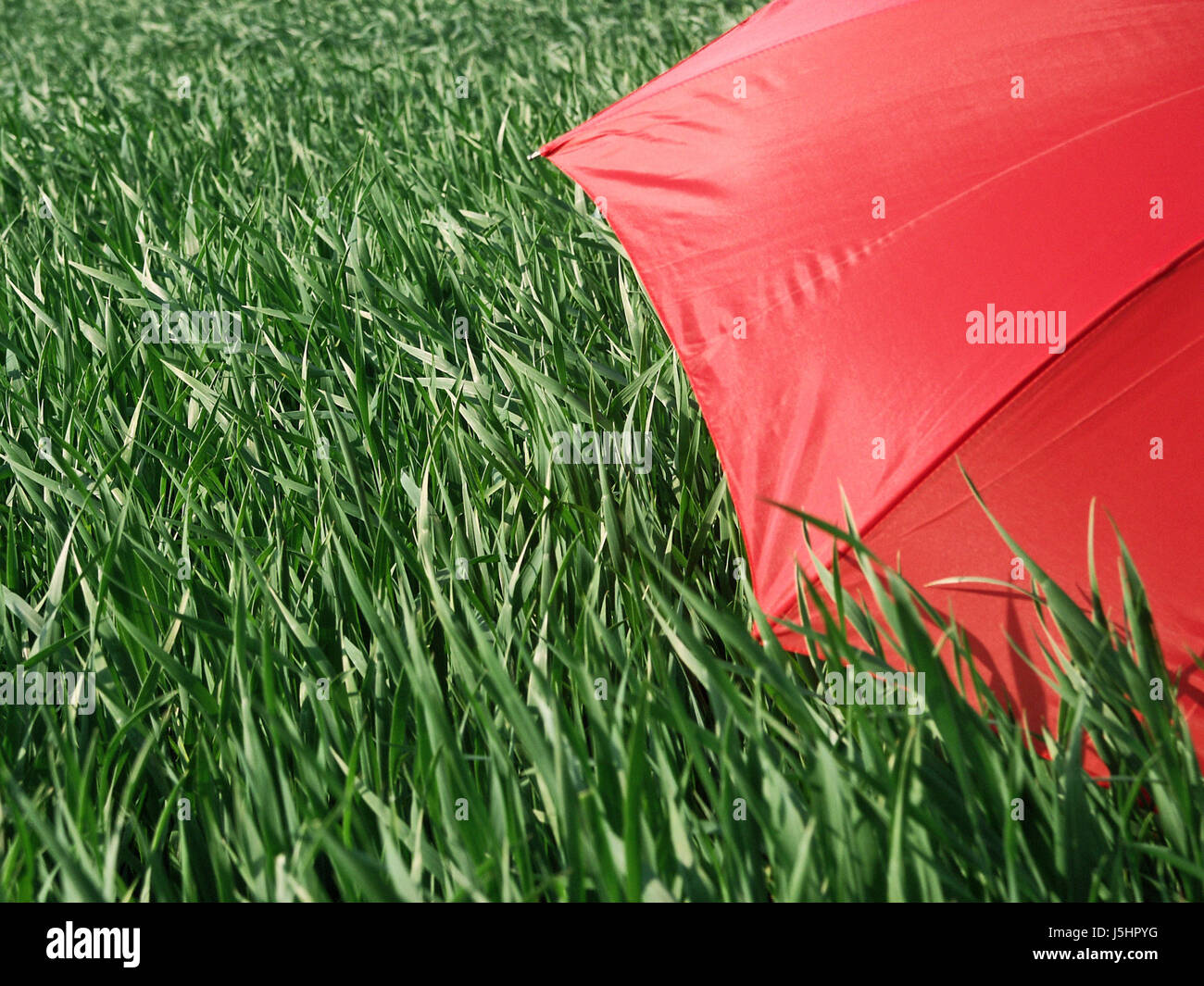Shielded from sun hi-res stock photography and images - Alamy