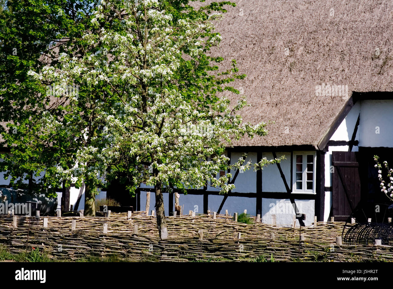 spring in the village Stock Photo - Alamy