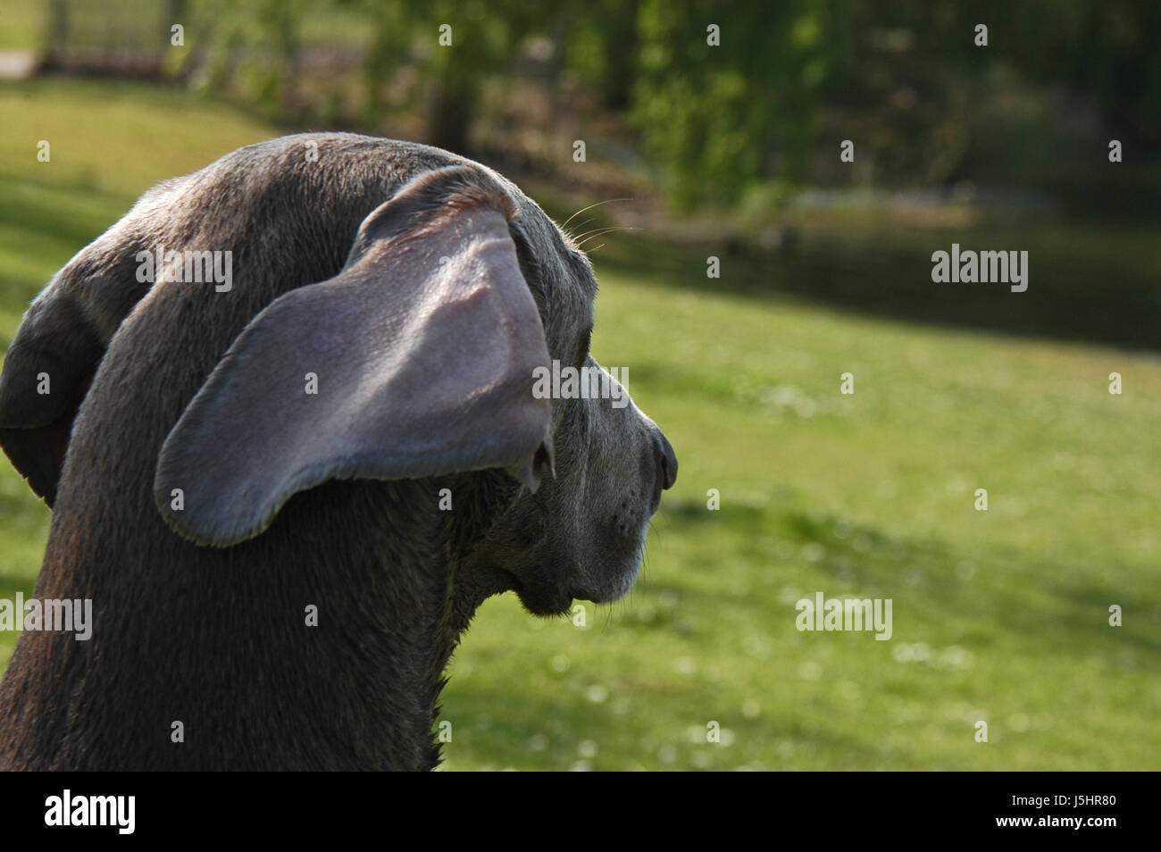 for better understanding Stock Photo - Alamy